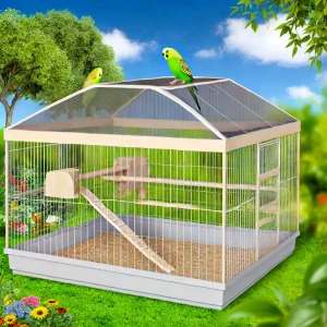 Essential Guide to Choosing the Best Parakeet Cage